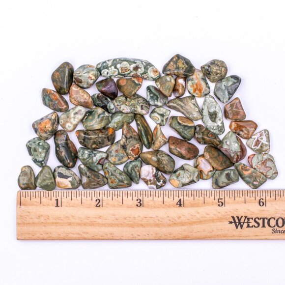 Tree Of Life Gems | Office | 4 Lb Tumbled Rainforest Rhyolite Jasper ...